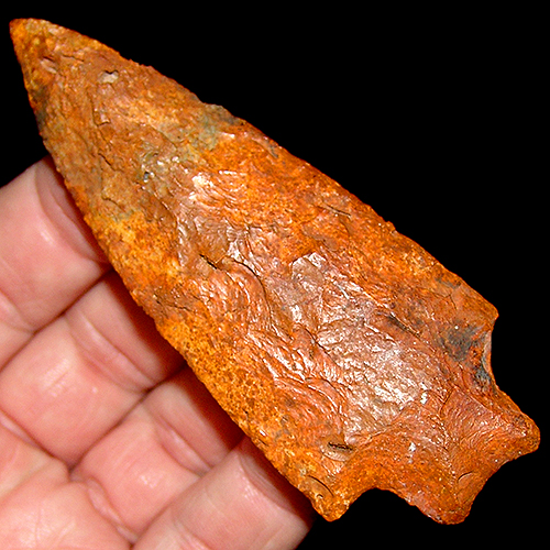 Artifacts Guide- Fall Frenzy Savannah River